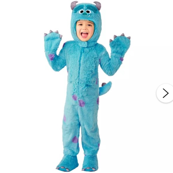 Disney | Costumes | Disney Pixar Monsters Inc Sully Costume | Poshmark
